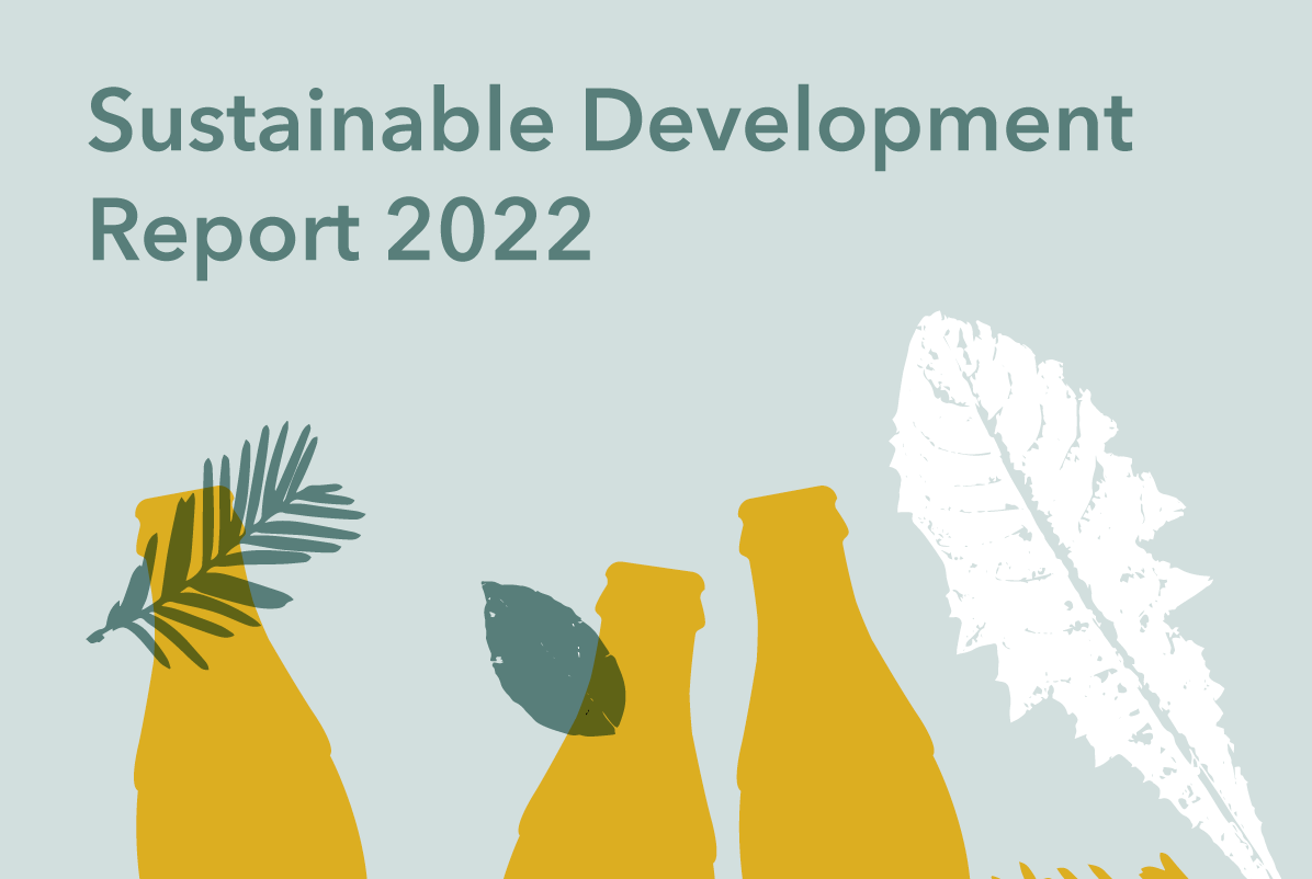 Sustainable Development Report 2022